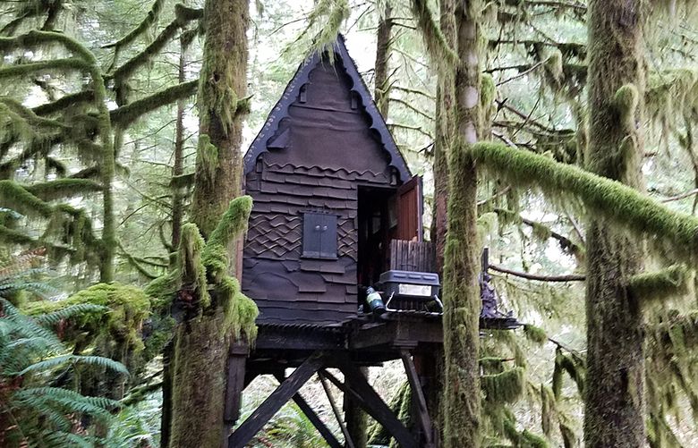 ‘This is now a crime scene’: Trail steward recalls finding illegal ...