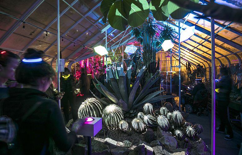 Seattle artists light up nights, bring people together | The Seattle Times