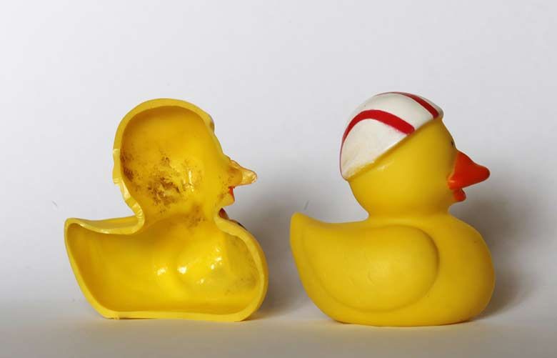 Yucky ducky? Study reveals bath-time toy’s dirty secret | The Seattle Times