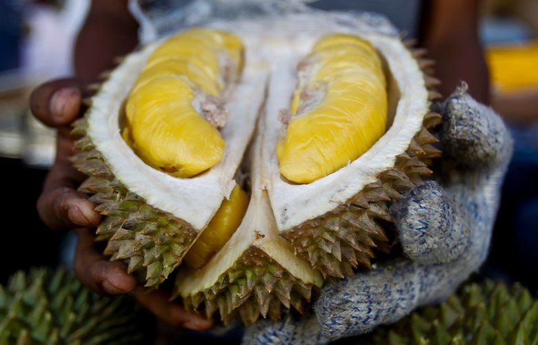 University evacuates library, fire brigade seeks gas leak — finds a ...