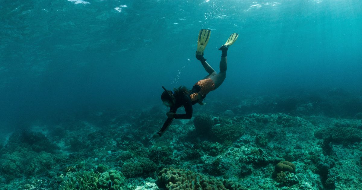 East Timor has some of the world’s richest reefs. Can it profit safely ...