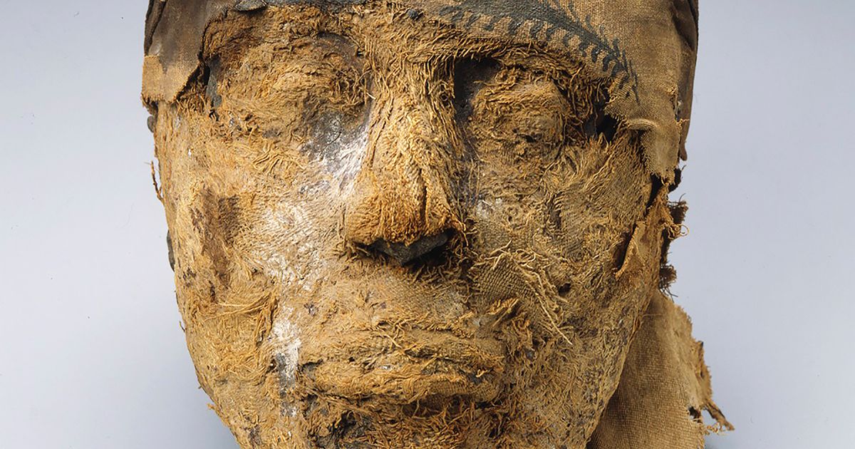 The mystery of the mummy’s head: How the FBI helped crack a 4,000-year ...