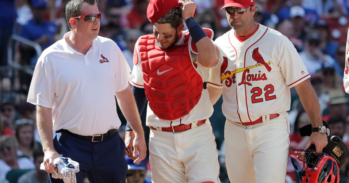 Cards’ Molina has surgery, out 1 month after hit in groin | The Seattle ...