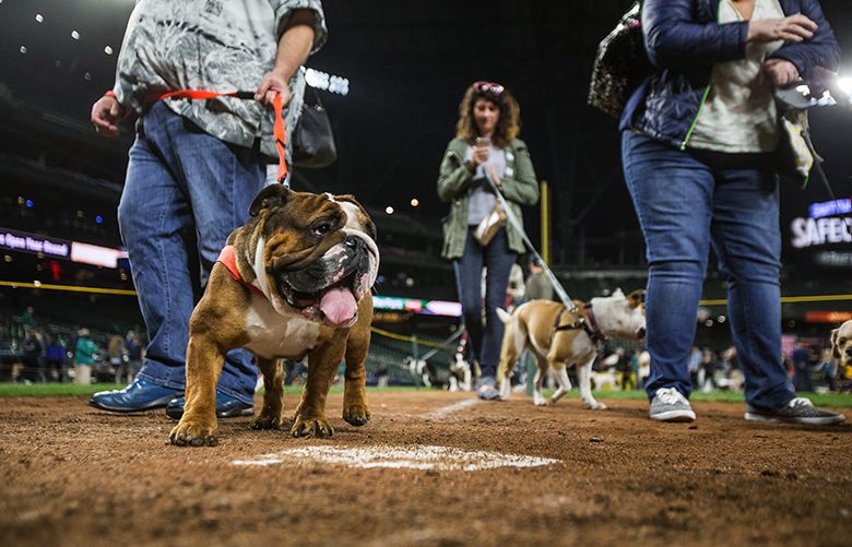 Rant & Rave: Praise for woman who hit car; dismay over decision to down ...