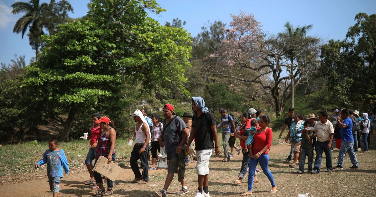 Group running asylum caravan fears spotlight comes at a cost | The ...