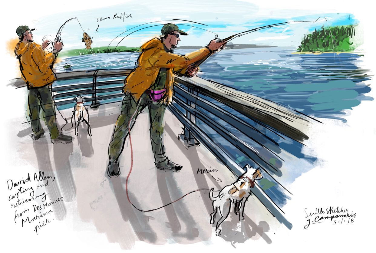 The lingcod season is waking up on Puget Sound | The Seattle Times