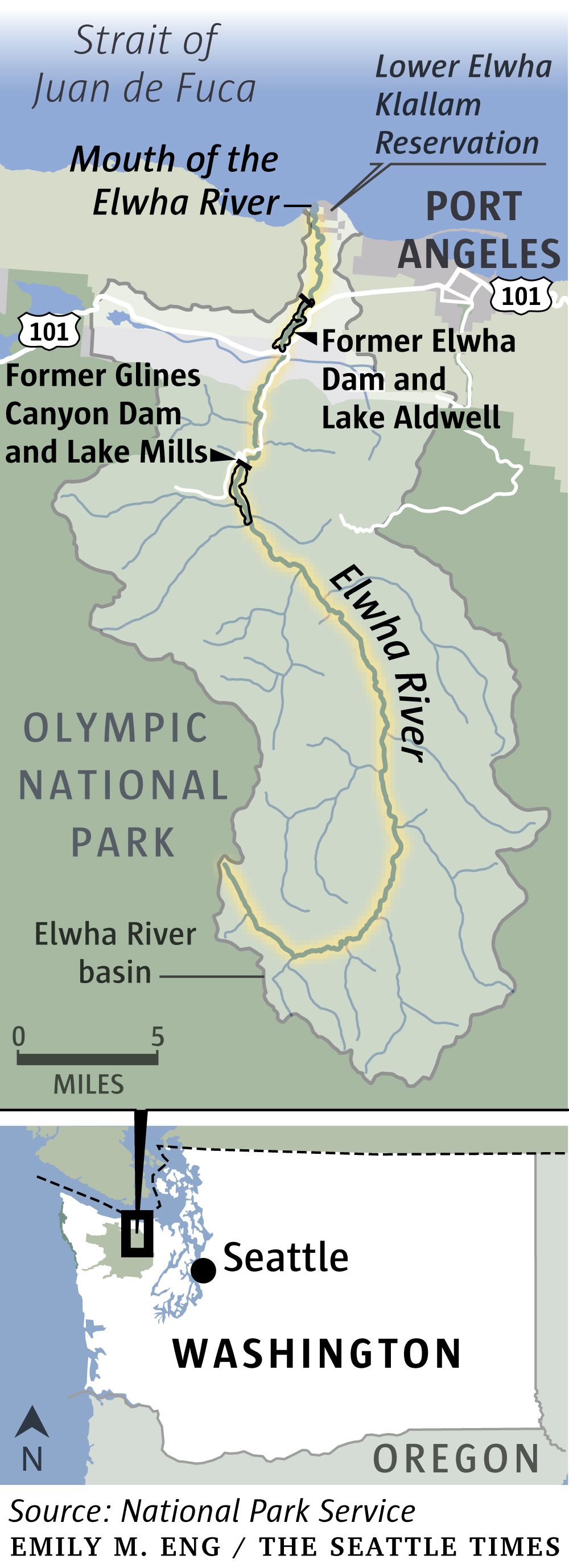 ‘Nature can do most of the work for you’: Once-flooded Elwha land ...
