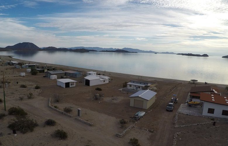 Sandra Dibble | The Seattle Times