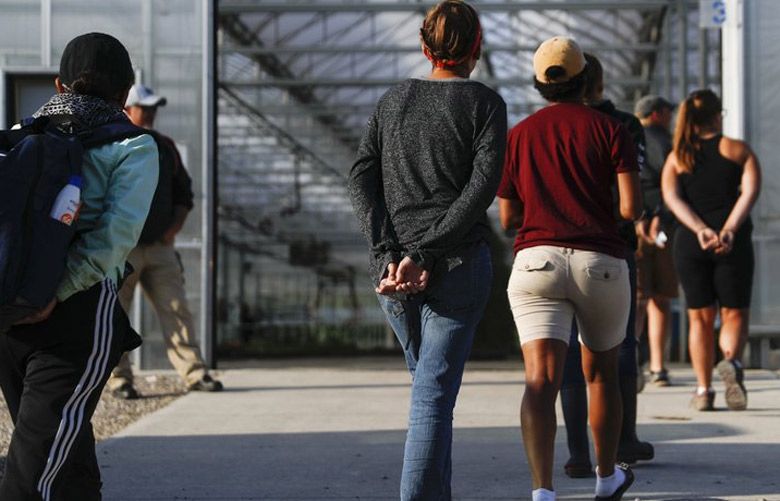 ICE arrests 114 workers in immigration raid at Ohio gardening company ...