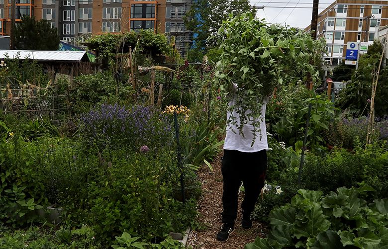 Vegetables, volunteerism and community grow together in our popular P ...