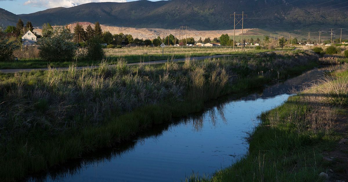 Let the stream run through it | The Seattle Times