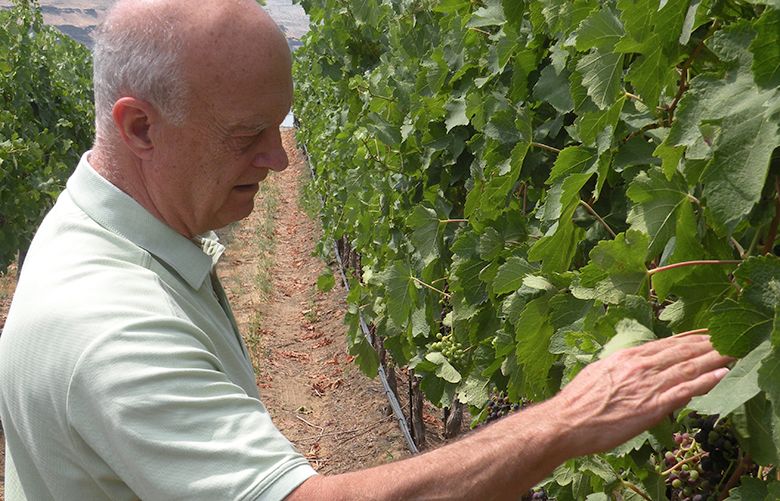 Robert Mondavi made an impact on Washington wine through his friendship ...