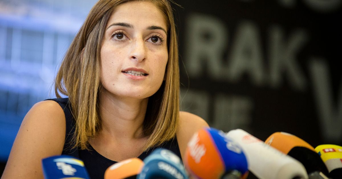 German journalist facing terror trial in Turkey returns home | The ...