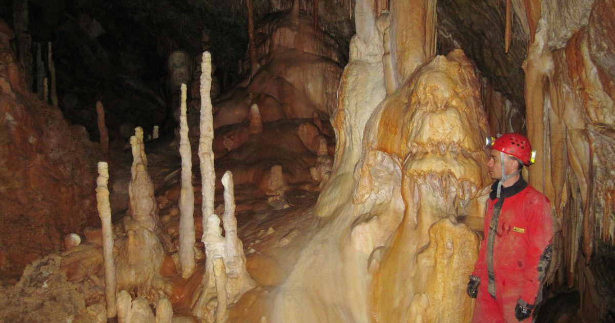 Cold, dry climate shifts linked to Neanderthal disappearance | The ...