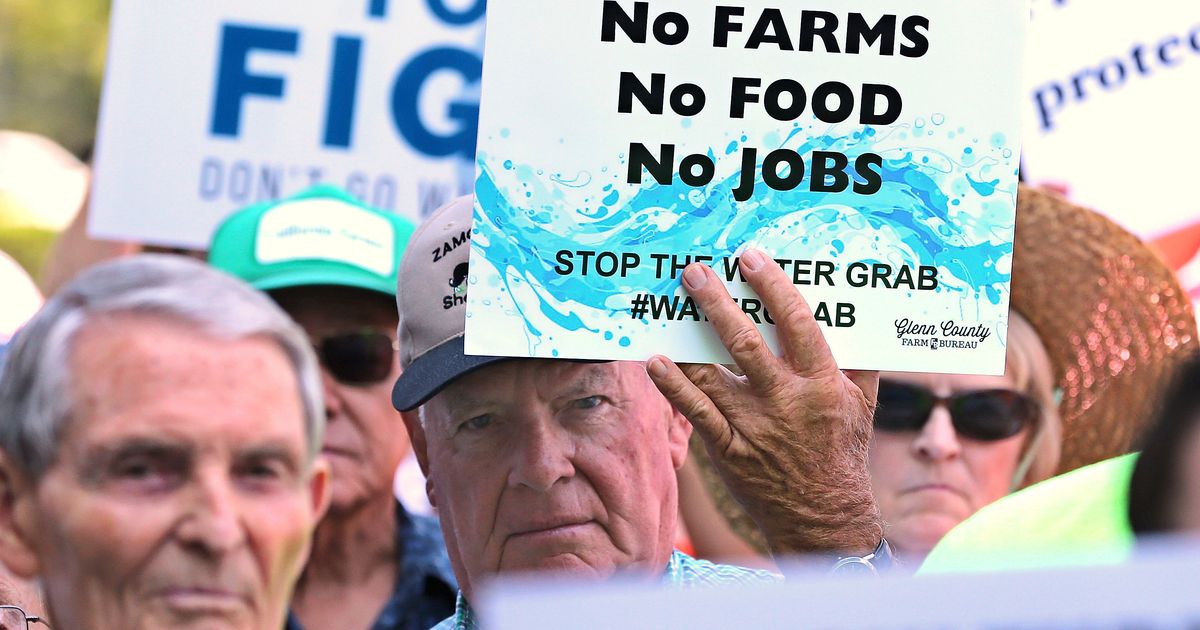 Farmers protest California water plan aimed to save salmon | The ...