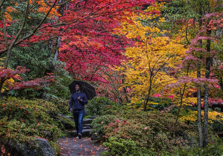 Seattle Washington Botanical Gardens | Fasci Garden