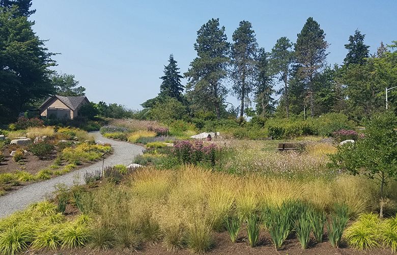 Filled with youthful energy and musical wildlife, the Urban Meadow ...