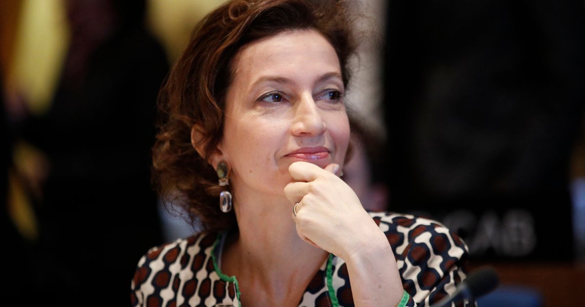 AP Interview: UNESCO chief says schools must fight extremism | The ...