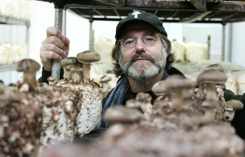 How the mushroom dream of a ‘long-haired hippie’ could help save the ...