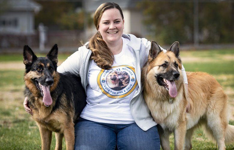 2 dogs who were trapped in silo for 21 days get an award | The Seattle ...