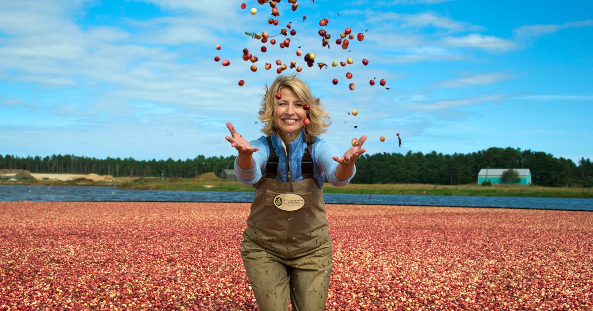 Fall foliage, tradition, wildlife star in PBS’ ‘AutumnWatch’ | The ...