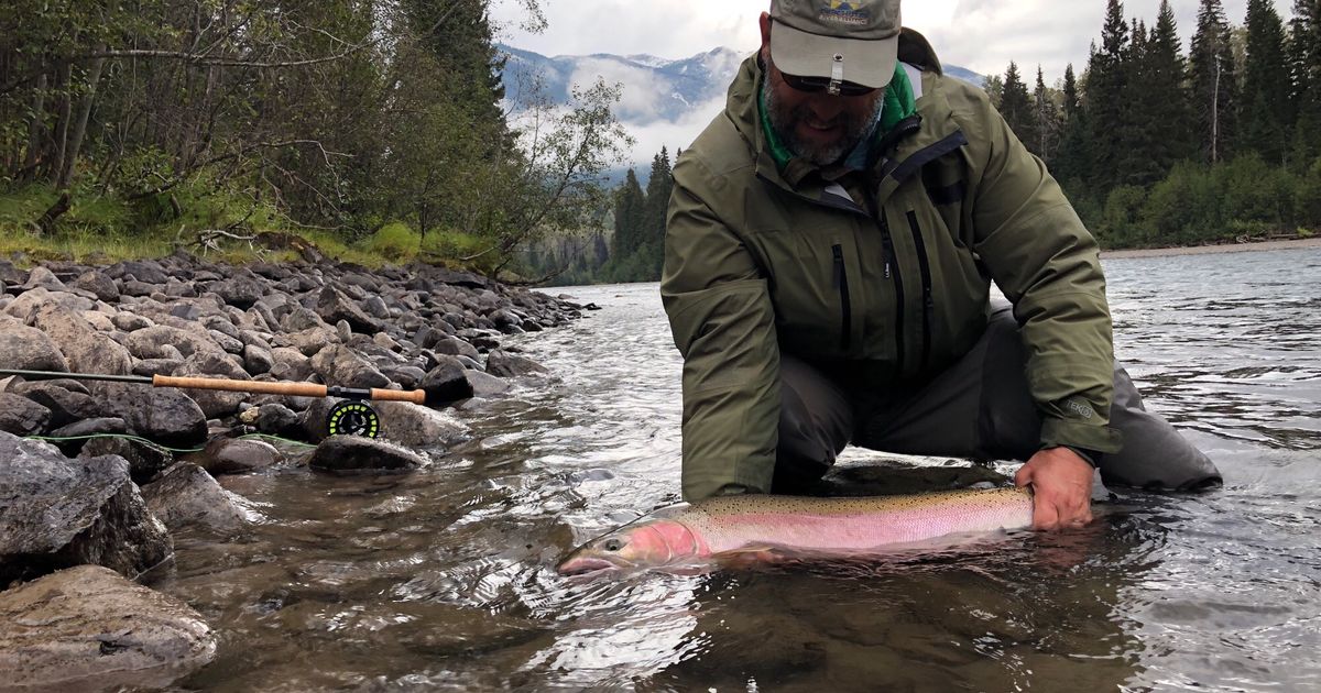 The lure of the steelhead | The Seattle Times