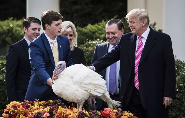 A Fact-Checker’s Guide to Thanksgiving Politics | The Seattle Times