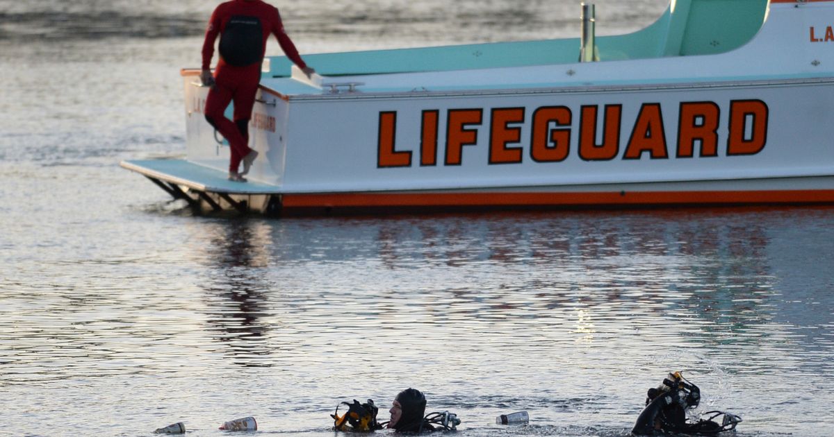 Man charged with fraud after driving off pier, killing sons | The ...