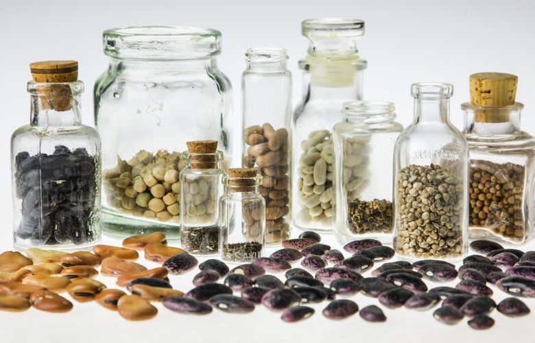 Here’s how to order the best seeds for the best results | The Seattle Times