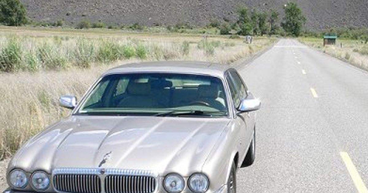 A ‘ghost’ Jaguar haunts on — and other stories from a year that drove ...