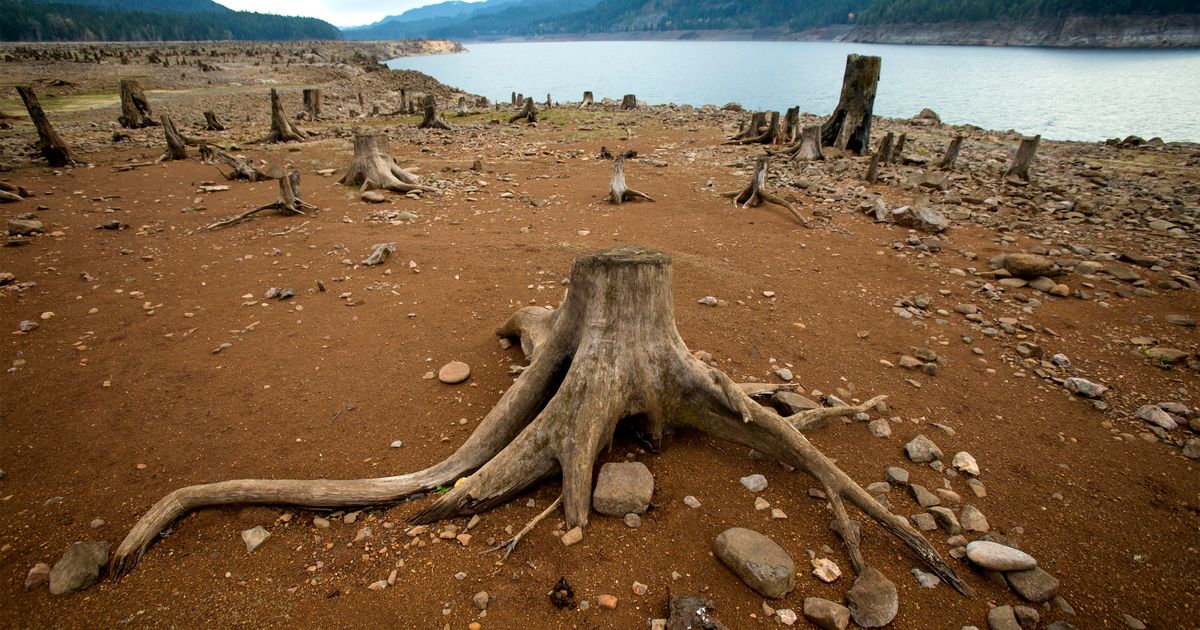 Reservoirs near Eugene-Springfield area unusually low | The Seattle Times
