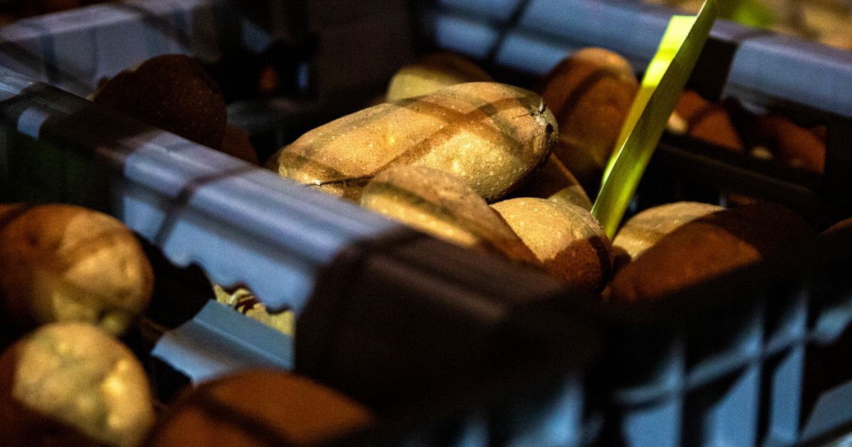 Grad student’s research ruins potatoes to find fungus fix | The Seattle ...