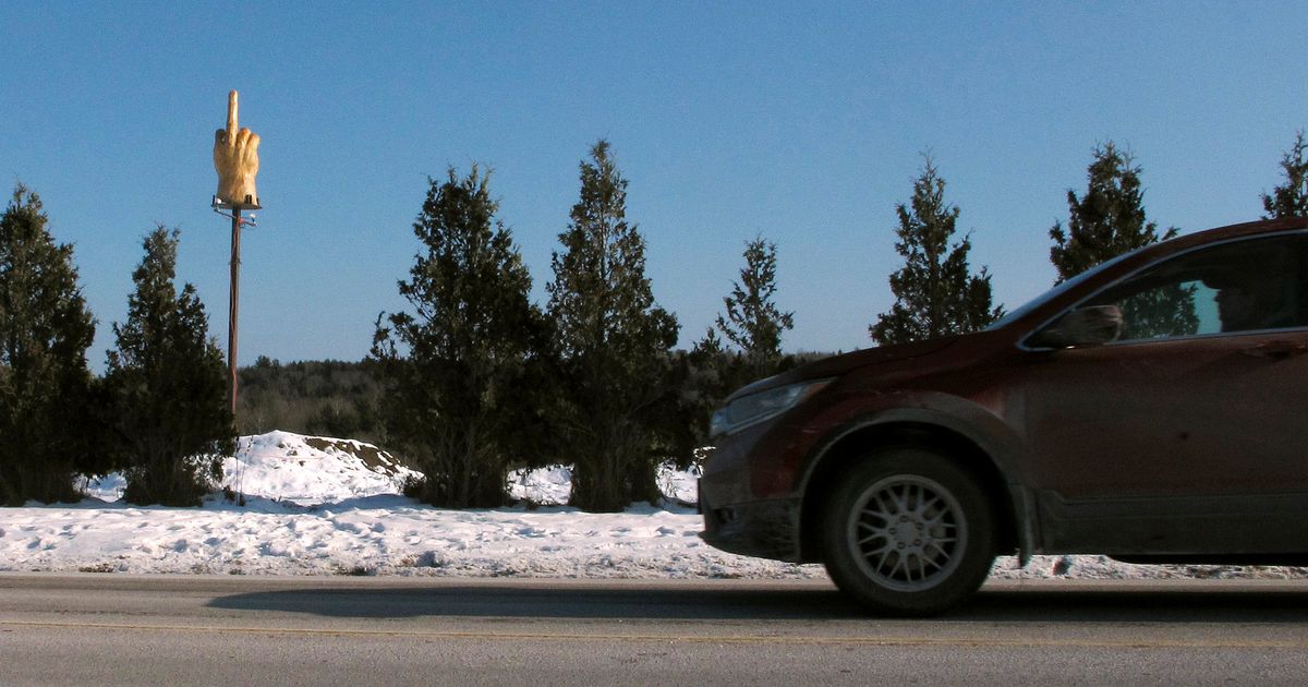 Beaver bourbon, runaway peacocks: A wild 2018 in New England | The ...