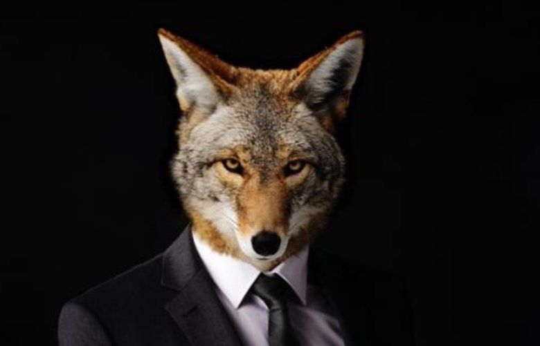 Robert Ham | The Seattle Times