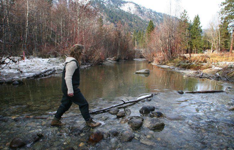 Officials seek dam upgrades in Alpine Lakes Wilderness to help salmon ...