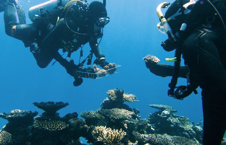 Ocean warming is accelerating faster than thought, new research finds ...