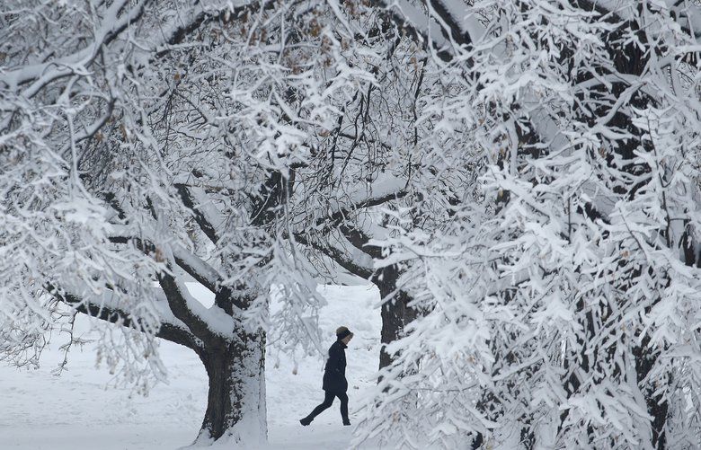 Storm punishes swath of US with snow, ice and freezing rain | The ...