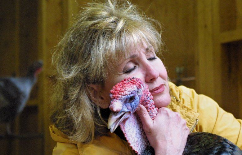 New fund to honor late Susan Michaels, former TV personality and animal ...