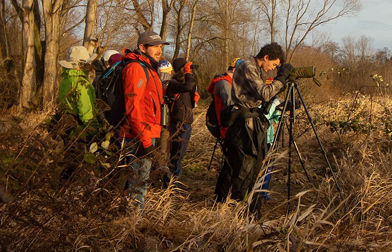 Seattle Audubon’s Christmas bird count draws fans of all levels, from ...