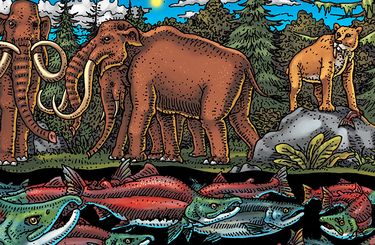 How T-shirt artist Ray Troll fused ‘Cruisin’ the Fossil ...