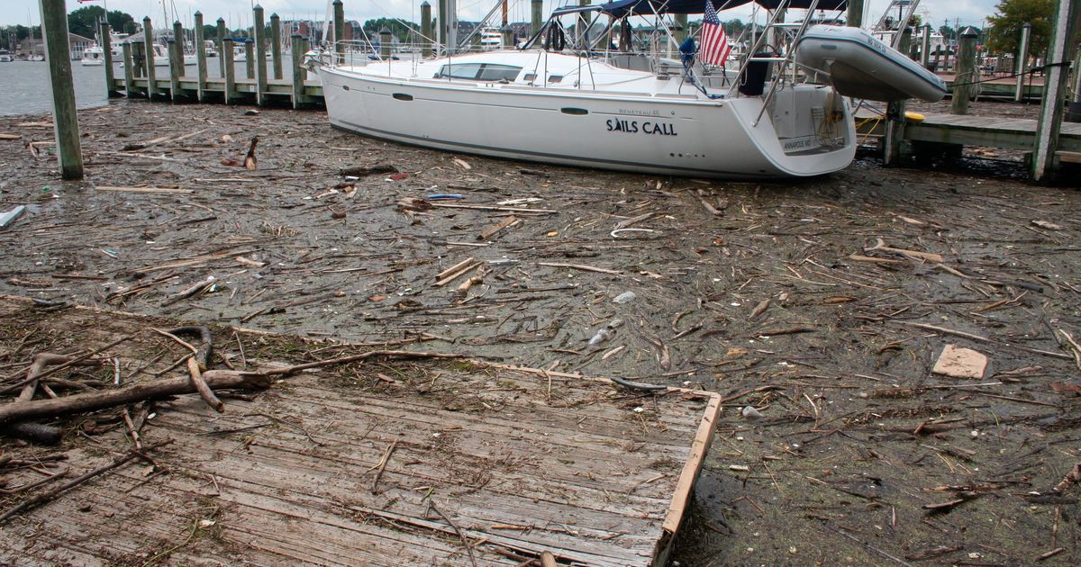 Report: Nation’s biggest estuary hit hard by pollution | The Seattle Times
