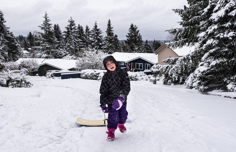 Seattle’s first snow of the season sticks around, closing schools again ...