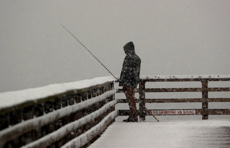 Photo gallery: The snow starts falling in Seattle | The Seattle Times