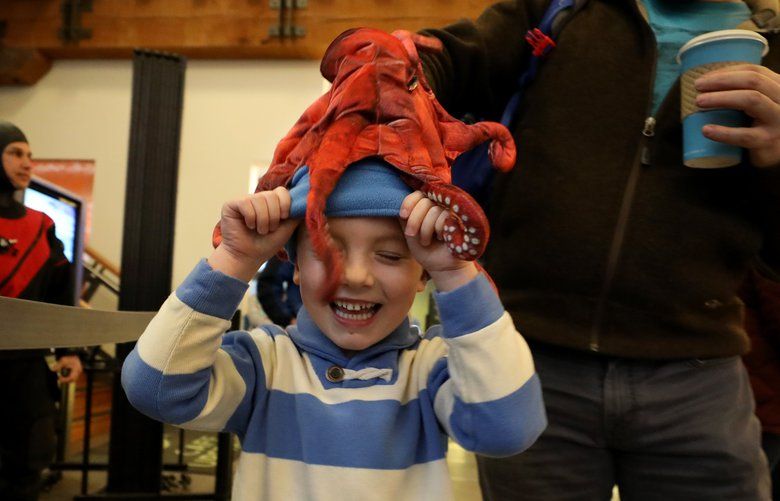 Crowd gathers to see Seattle Aquarium release giant Pacific octopus ...