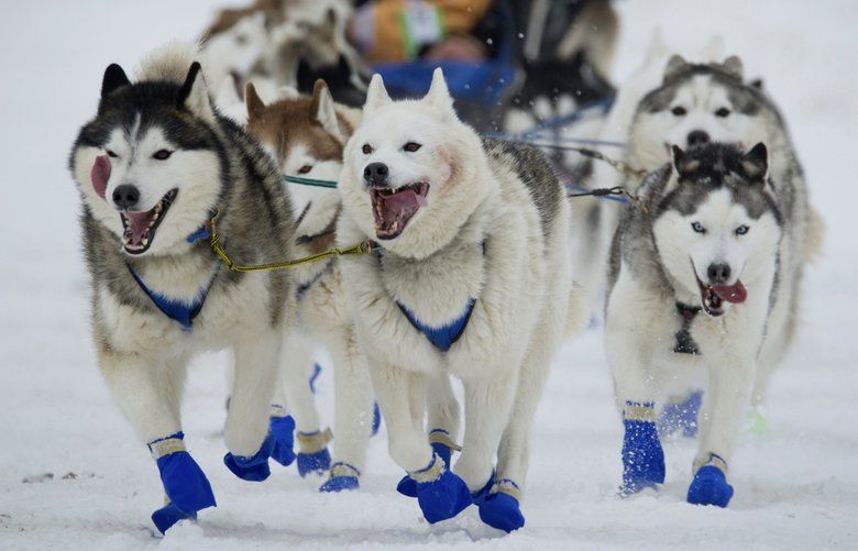 Mike Coppock | The Seattle Times