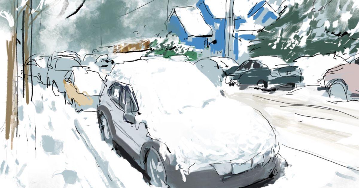 Brrr! It’s cold out here. Scenes from a snowy Seattle landscape | The ...