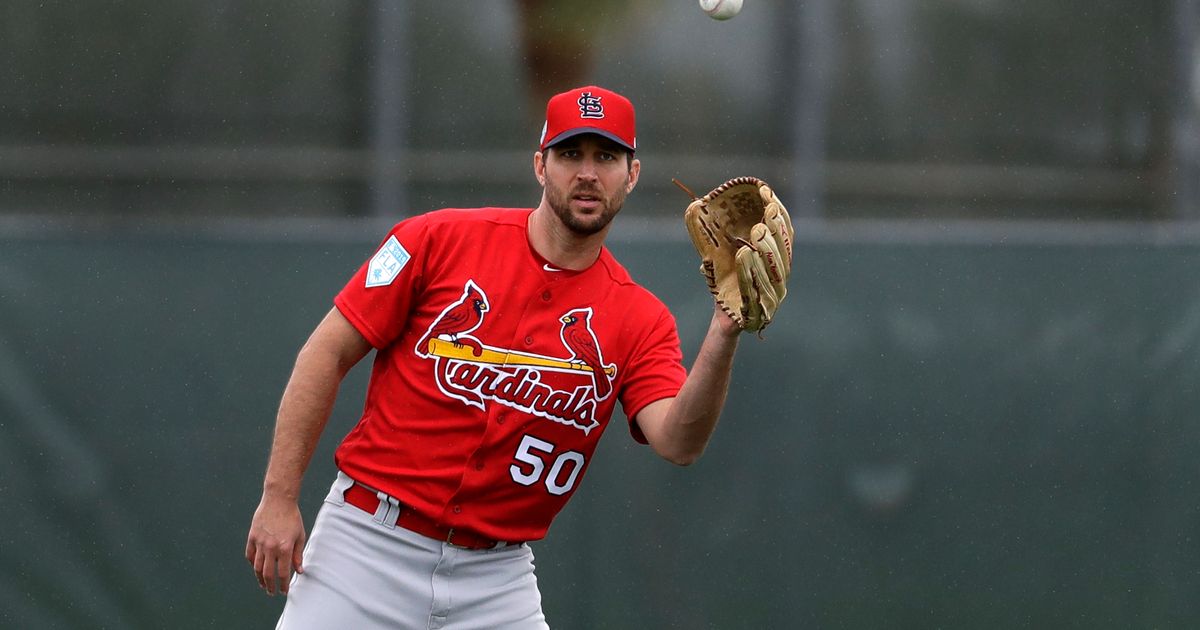 Wainwright says he is healthy after injury-wrecked season | The Seattle ...