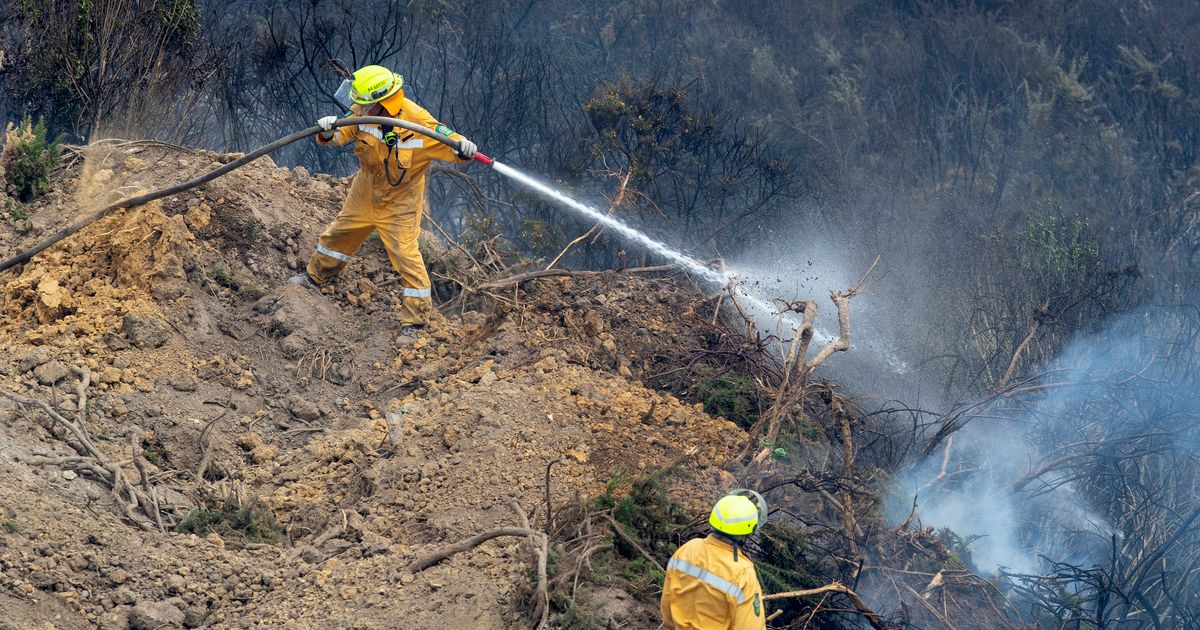 3,000 evacuated from New Zealand fire can return home | The Seattle Times