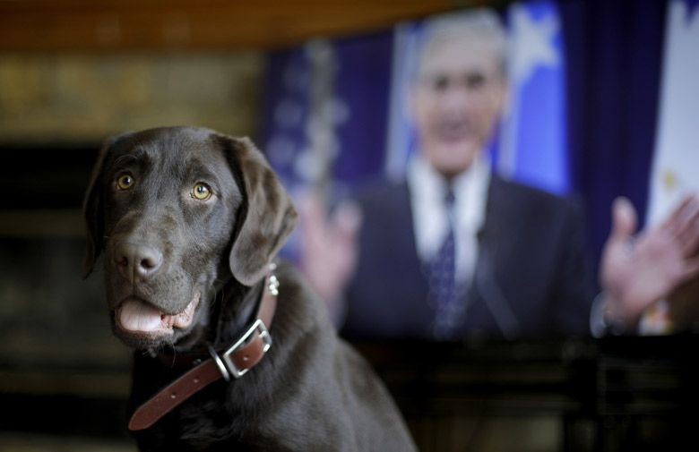 Mueller’s fans venerate him — and nervously await report | The Seattle ...