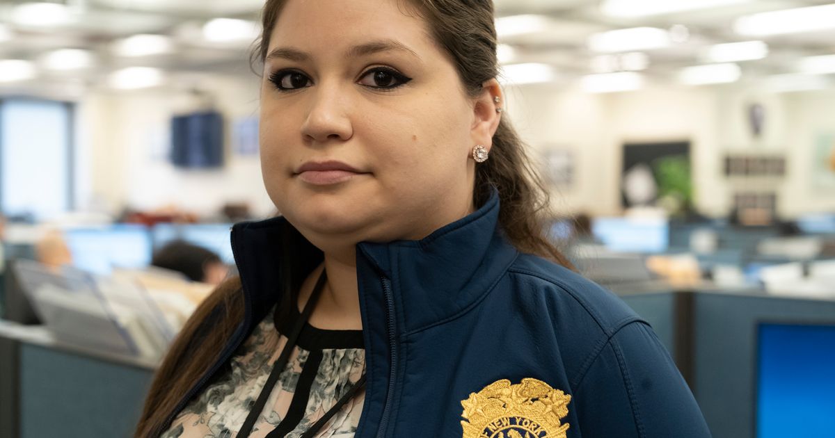 Modern policing: Algorithm helps NYPD spot crime patterns | The Seattle ...